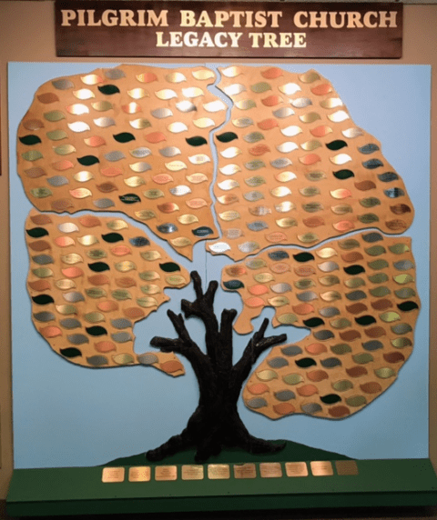 Legacy Tree | Honoring the Past at Pilgrim Baptist Church